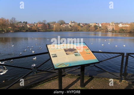 Diss town sign Norfolk, East Anglia, England, UK Stock Photo - Alamy