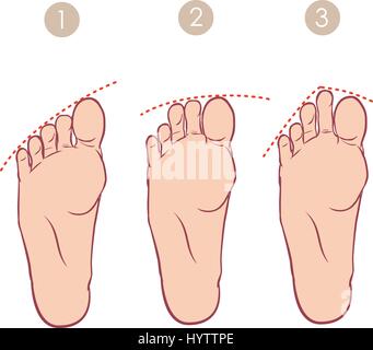 Vector illustration of a Form of toes Stock Vector Image & Art - Alamy