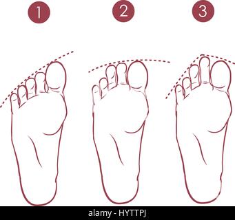 Vector illustration of a Form of toes Stock Vector Image & Art - Alamy