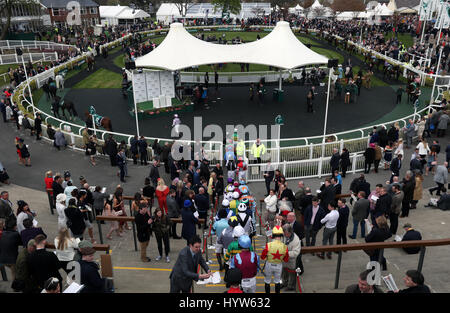 Jockeys head out for the first race in heavy fog during The Coral Welsh ...