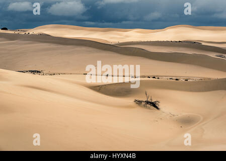 Reef Beach Dunes near Bremer Bay in Western Australia Stock Photo - Alamy