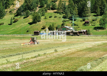 A Swiss farmer cutting grass for hay with a small mechanical mower in a ...