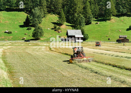 A Swiss farmer cutting grass for hay with a small mechanical mower in a ...