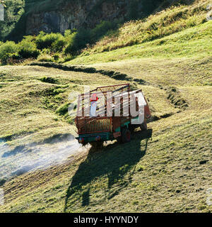 A Swiss farmer cutting grass for hay with a small mechanical mower in a ...