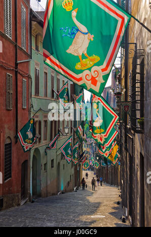 Contrada dell'Oca flags with a crowned goose wearing a blue ribbon ...