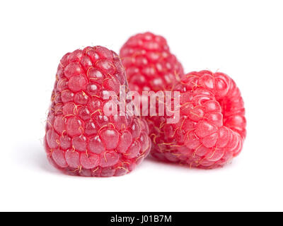 Few raspberries isolated on white background Stock Photo - Alamy