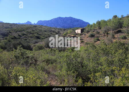 Abandoned old farmhouse near Xalo or Jalon, Marina Alta, Alicante ...