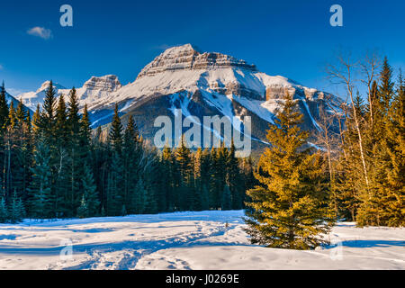 Winter Scenery in Banff National Park Alberta Canada Stock Photo - Alamy
