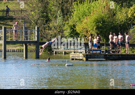 Hampstead Heath Pond in Spring Stock Photo: 24155006 - Alamy