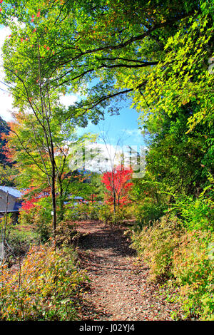 Akigawa Keikoku Valley Autumn Foliage Akiruno Tokyo Japan Stock Photo ...