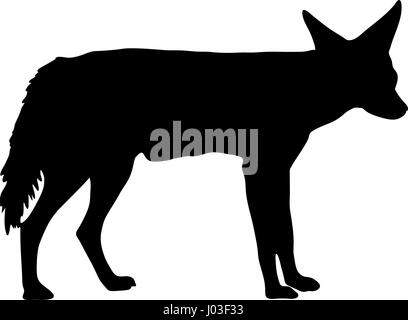 Jackal silhouette, Wild jackal silhouette, Jackal silhouettes, Jackal ...