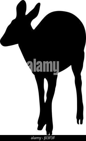 Hand drawn silhouette of a wild klipspringer antelope Stock Vector ...