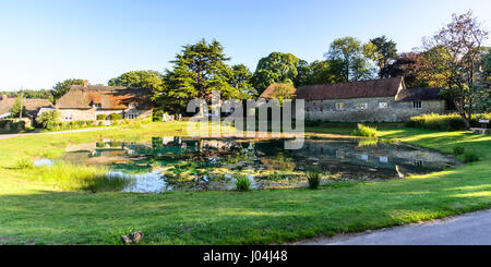 Traditional stone cottages surround the dew pond in Ashmore village ...