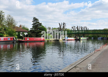 The River Lee, near Springfield Park, North London UK Stock Photo - Alamy