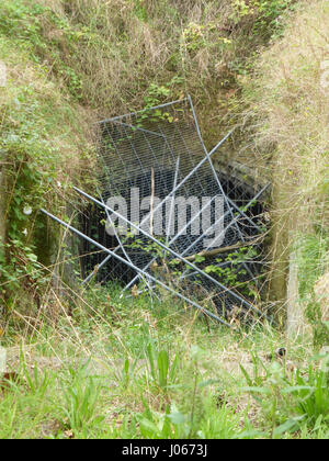 STUNNING images of the now lost Victorian subway last used as a WW2 air ...