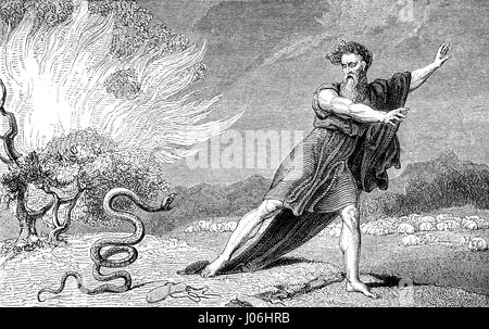 The rod becomes a serpent, Moses, Book of Exodus, Old Testament, Hebrew ...