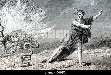 The rod becomes a serpent, Moses, Book of Exodus, Old Testament, Hebrew ...