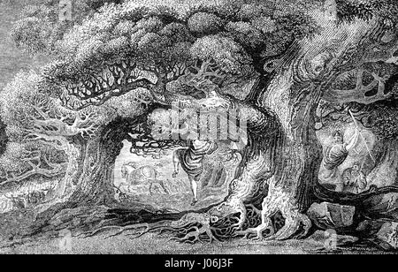 The death of Absalom, hanging from a tree by his hair, Book of Samuel ...