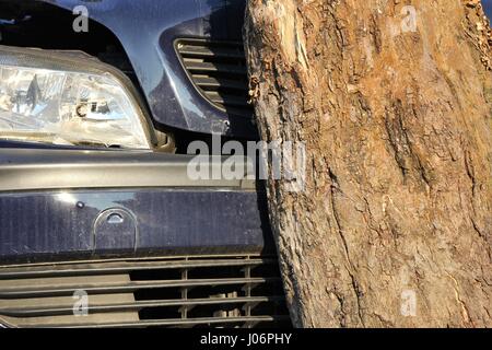 car hit a tree Stock Photo - Alamy