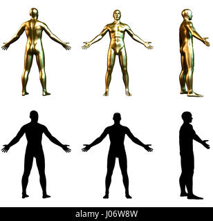 3D Rendering Male Anatomy Figure on White Stock Photo - Alamy