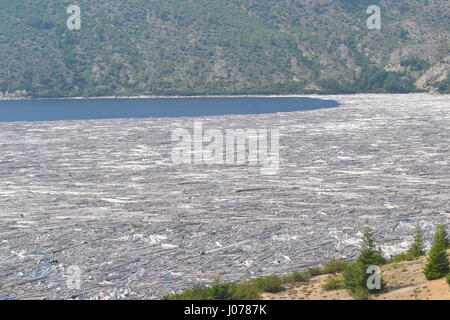 Spirit Lake and floating logs on the north side of Mount Saint Helens ...