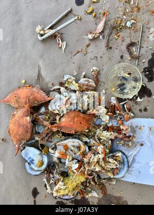 Leftover seafood shells after a feast of blue crab and oysters Stock ...