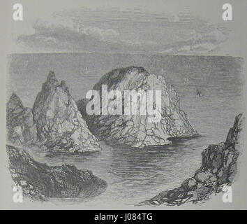 Jean Louis Armand de Quatrefages de Bréau's book details the natural ...