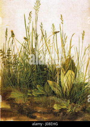 Albrecht Dürer - Das große Rasenstück Stock Photo - Alamy