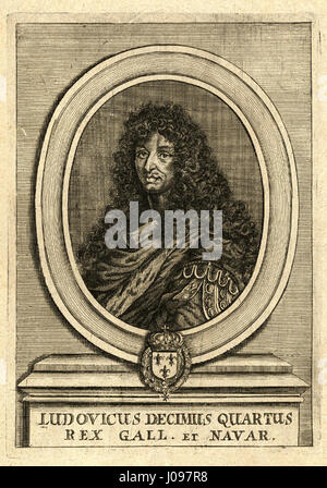 'Louis XIV 2' is a portrait of King Louis XIV, the Sun King, depicted ...