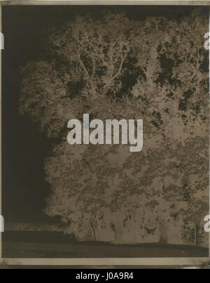 Louis-Rémy Robert’s 'Tree Study at Saint-Cloud' is a landscape painting ...