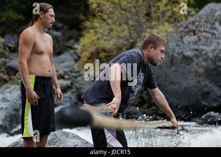 Jerry Brink (left) and J.J. Reed, both of the Karuk Indian Tribe, use a ...