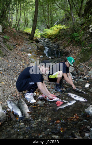 Jerry Brink (left) and Clayton Tuttle of the Karuk Indian Tribe fish ...