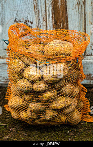 Raw potatoes in a string bag. The concept of harvesting, organic food ...