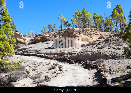 A sandy path for walking, passing by trees Stock Photo - Alamy