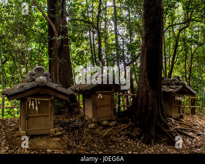 Shinto shrine in a grove of trees, Sashiogi, Saitama, Japan Stock Photo ...
