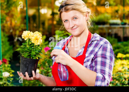 Gardener florist with a flower in a pot isolated on white backgr Stock ...