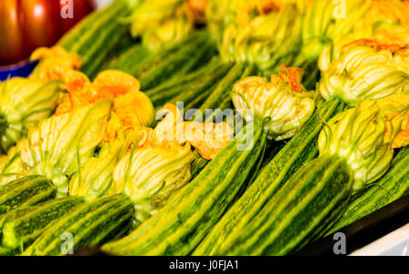 Zucchini Romanenca (Italian Costata squash) also known as Ribbed Roman ...