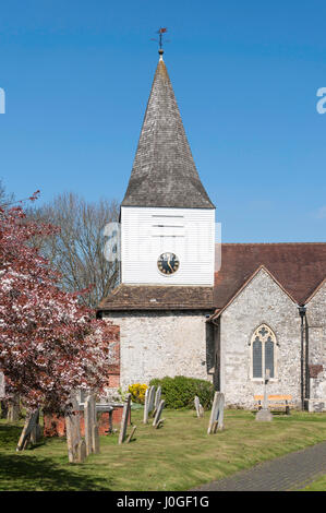 St Nicolas Church, Great Bookham, Surrey in Springtime with cherry ...