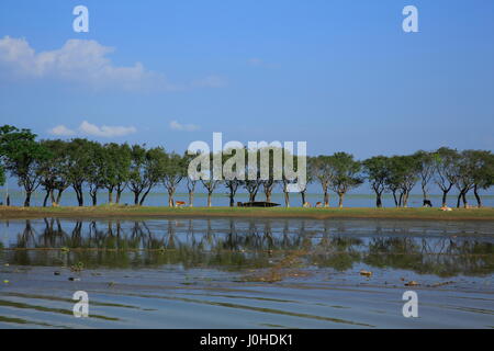 Tanguar haor, located in the Dharmapasha and Tahirpur upazilas of ...