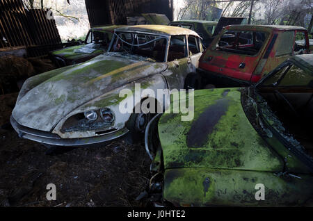 Abandoned Citroen DS2 Stock Photo - Alamy