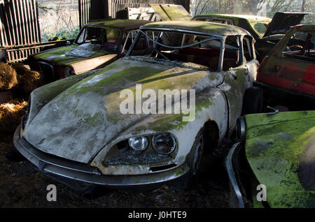 Abandoned Citroen DS2 Stock Photo - Alamy