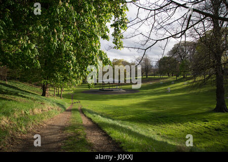 The bandstand in Phoenix Park, Dublin city, Ireland Stock Photo - Alamy