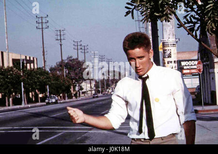 Repo Man, USA 1984 Regie: Alex Cox Darsteller: Harry Dean Stanton ...