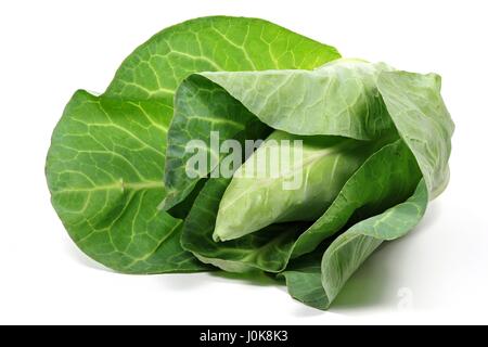 White and pointed cabbage at the weekly market market, Luenburg, Lower ...