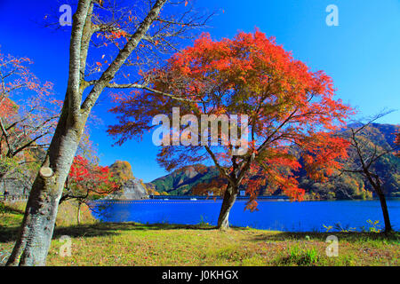 Lake Okutama Autumn Foliage Tokyo Japan Stock Photo - Alamy