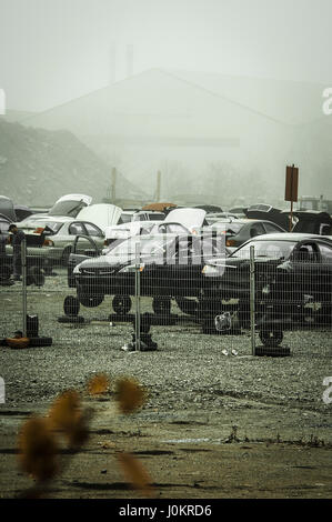 Auto scrap yard in Hamilton, Ontario Stock Photo - Alamy