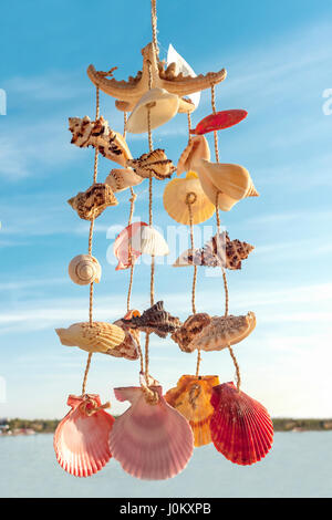 Seashells hanging decoration Stock Photo - Alamy