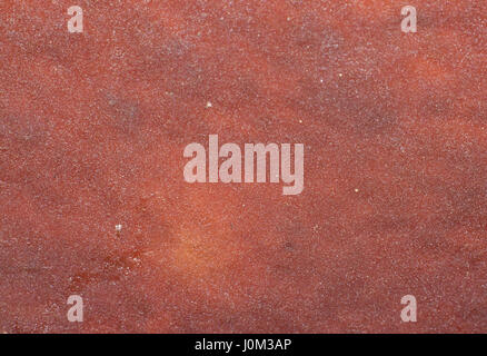 texture of porcini extreme closeup Stock Photo - Alamy