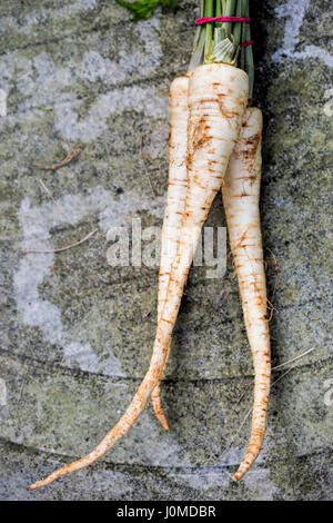 Close Up of Parsnip Vegetable Background on Market Stall Stock Photo ...