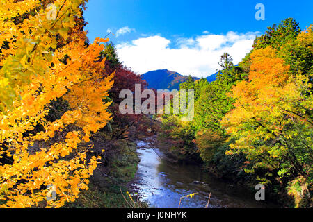 Akigawa Keikoku Valley Autumn Foliage Akiruno Tokyo Japan Stock Photo ...